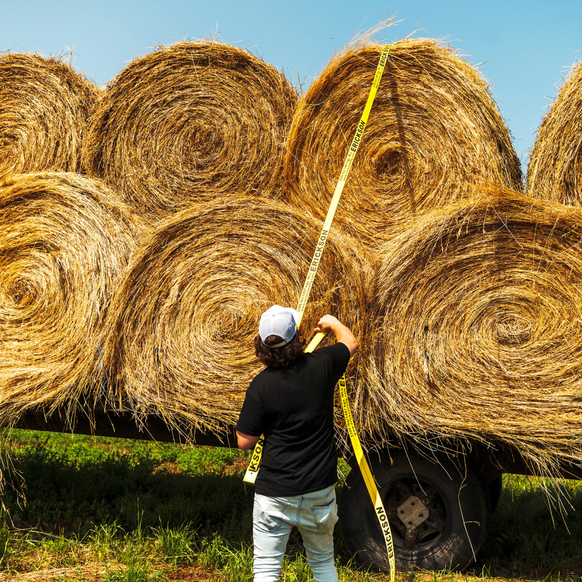 2″ x 40′ – 10,000 lb. | Bale Boss® | with Multiplier Ratchet | and ...